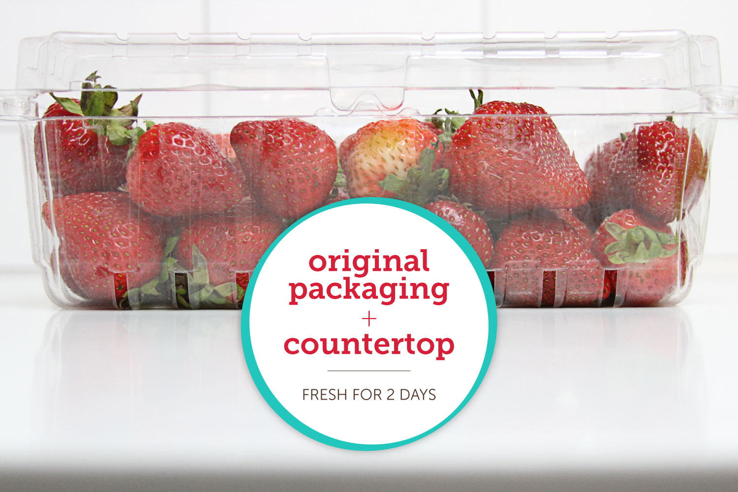 How to Store Strawberries & Keep Them Fresh - Shari's Berries