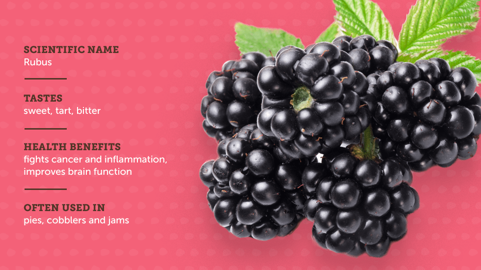 Types of Berries & Ways to Use Them | Shari's Berries