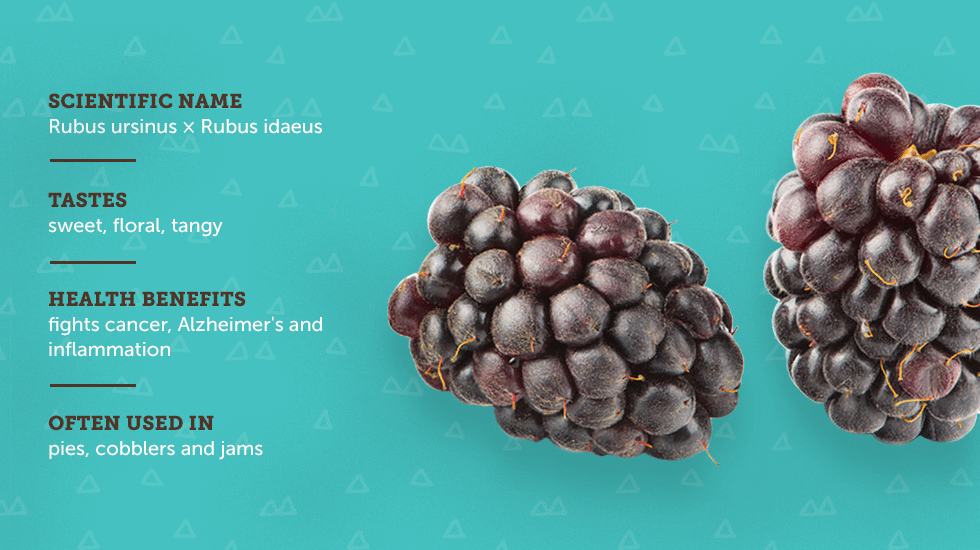 Types of Berries & Ways to Use Them | Shari's Berries