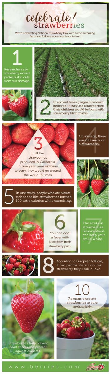 National Strawberry Day Facts & Folklore | Shari's Berries